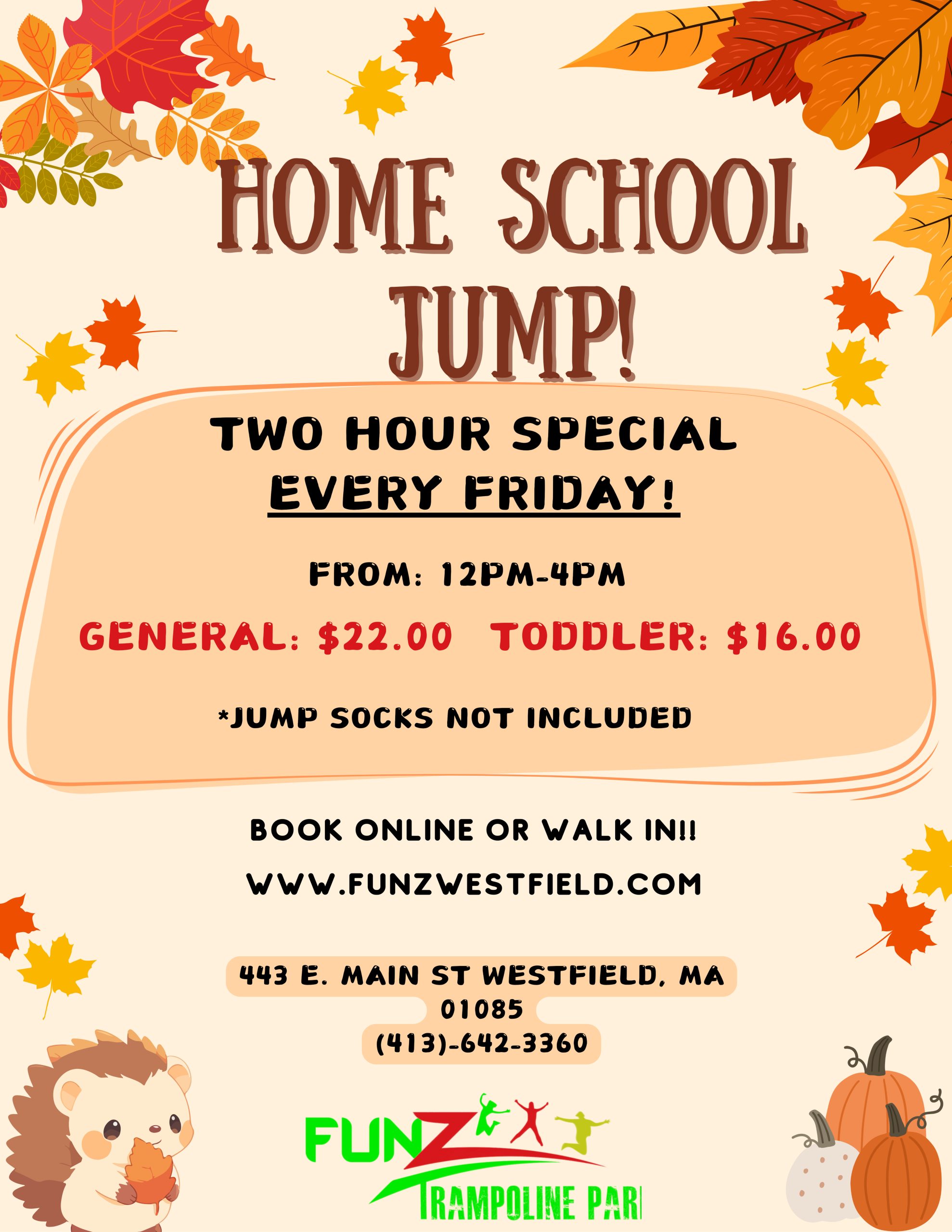 FunZ in Massachusetts